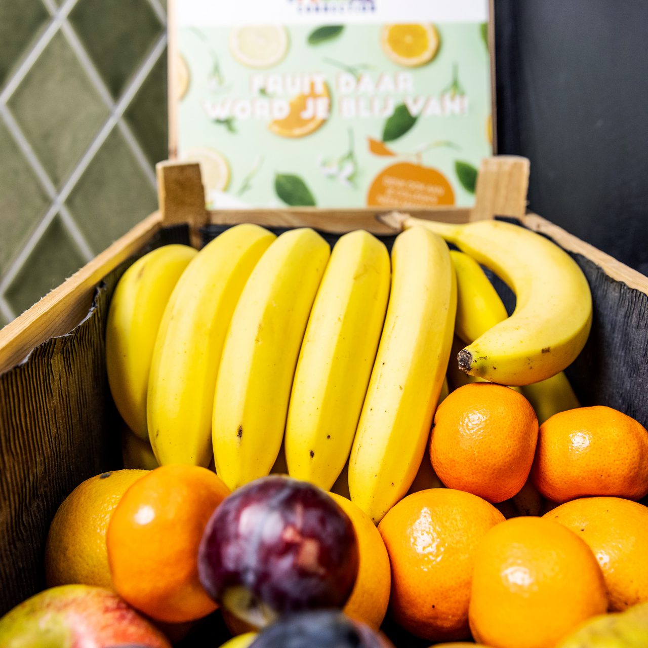 Duurzaamheid – The Floral Connection